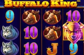 Buffalo King Casino Australia - Play game online for money. Get your ...